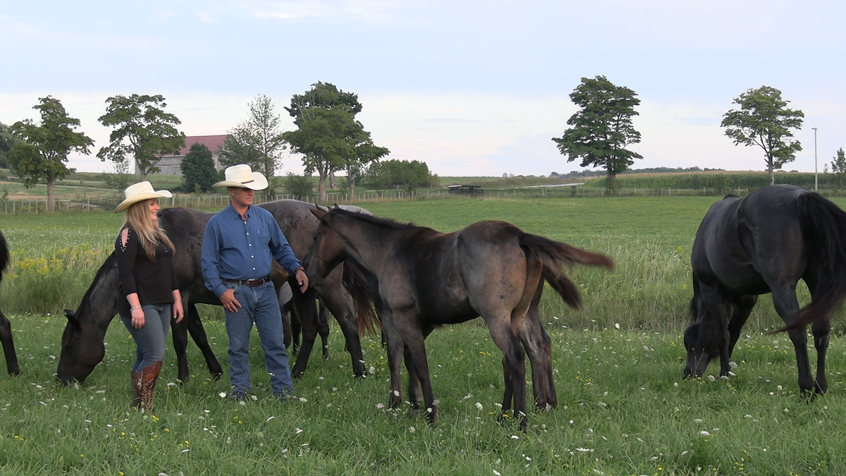 Jason & Bronwyn Irwin Horsemanship