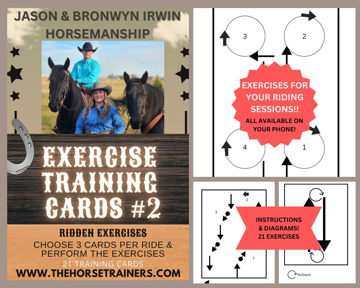 Training Exercise Flash Cards - Ridden - Level Two – Jason & Bronwyn ...