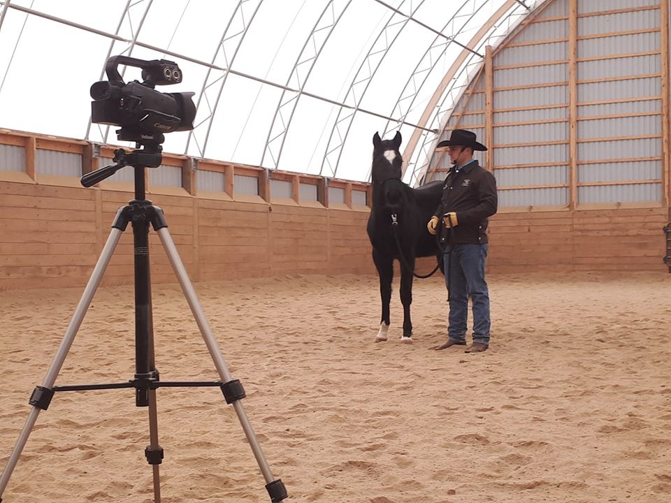 VIMEO: 6 Week Horsemanship Journey: Ground Exercises Video – Jason ...