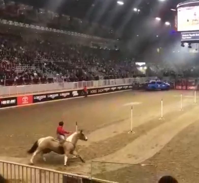 VIMEO - Pole Bending: Part One Training Video – Jason & Bronwyn Irwin ...